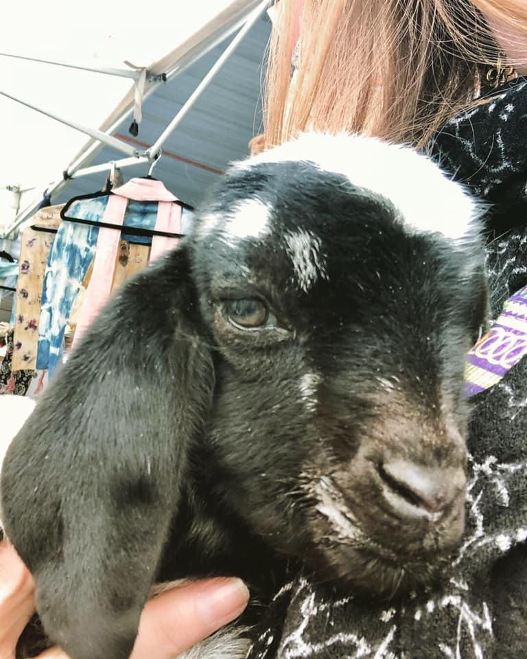 Fergus! – Matthew and Ginger